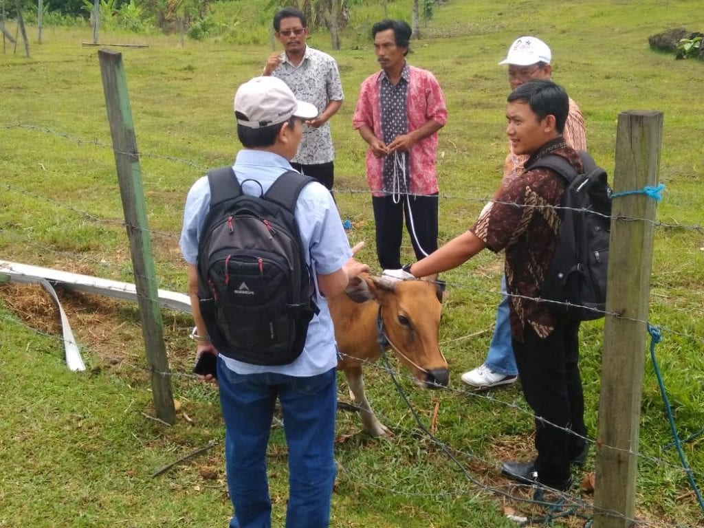 Fapet UGM dan Pemkab Tana Tidung Kembangkan Aplikasi Recording Ternak Online – Fakultas ...