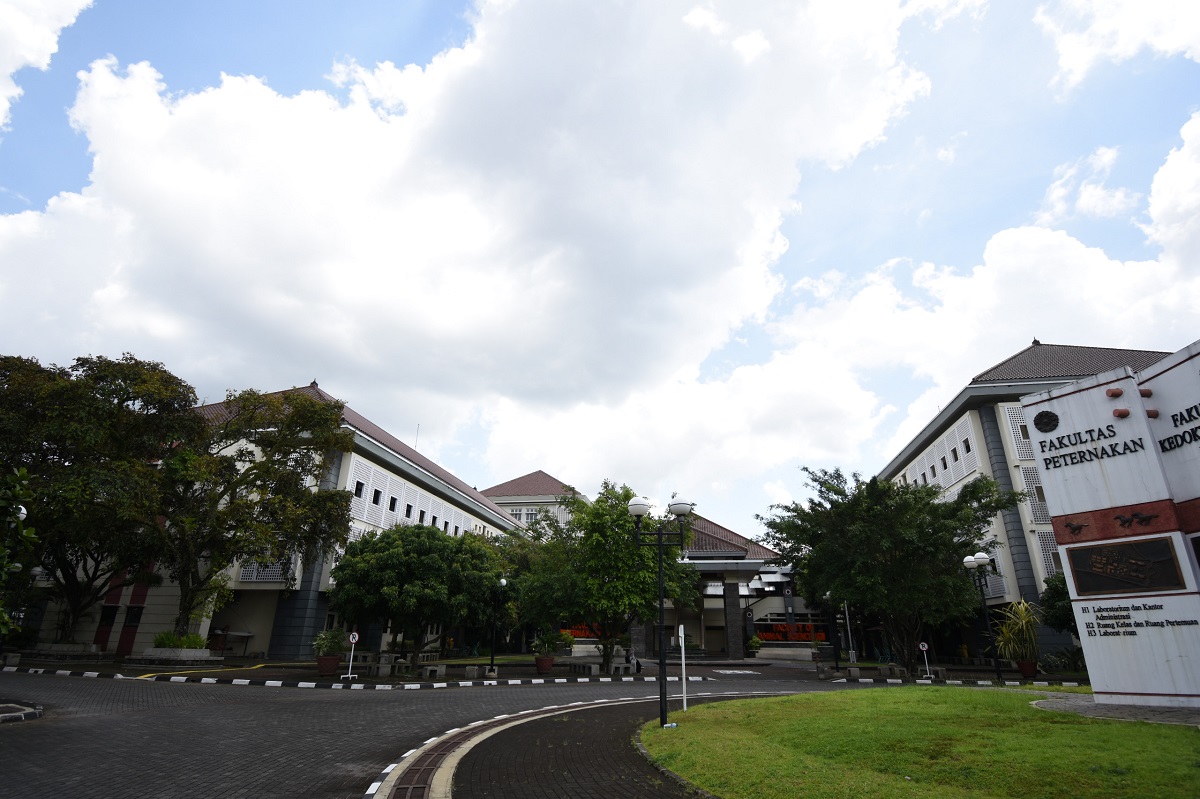 Program Profesi Insinyur Fapet UGM Investasi Jangka Panjang – Fakultas ...