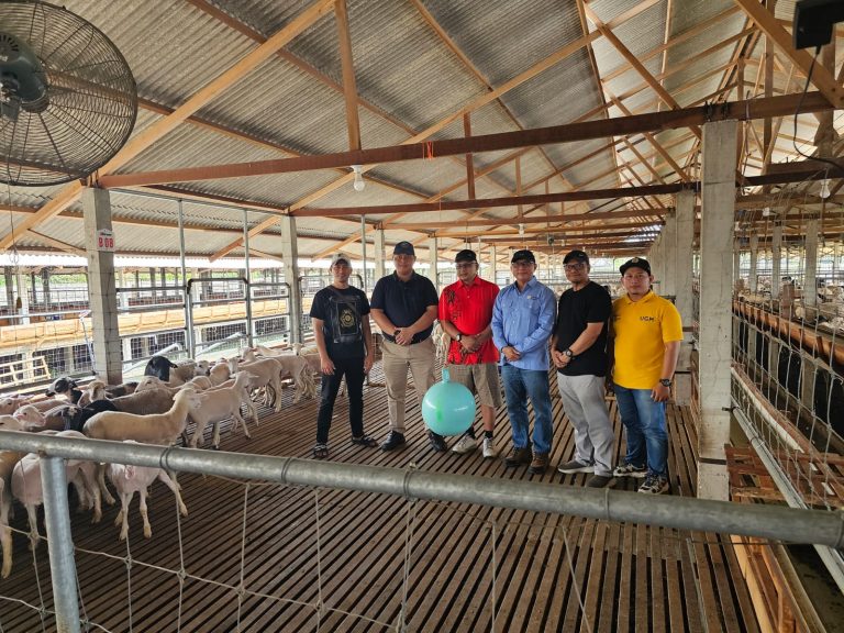 Fapet UGM Jajaki Kerja Sama dengan Asosiasi Dorper Indonesia – Fakultas ... Fapet UGM Jajaki Kerja Sama dengan Asosiasi Dorper Indonesia – Fakultas ...