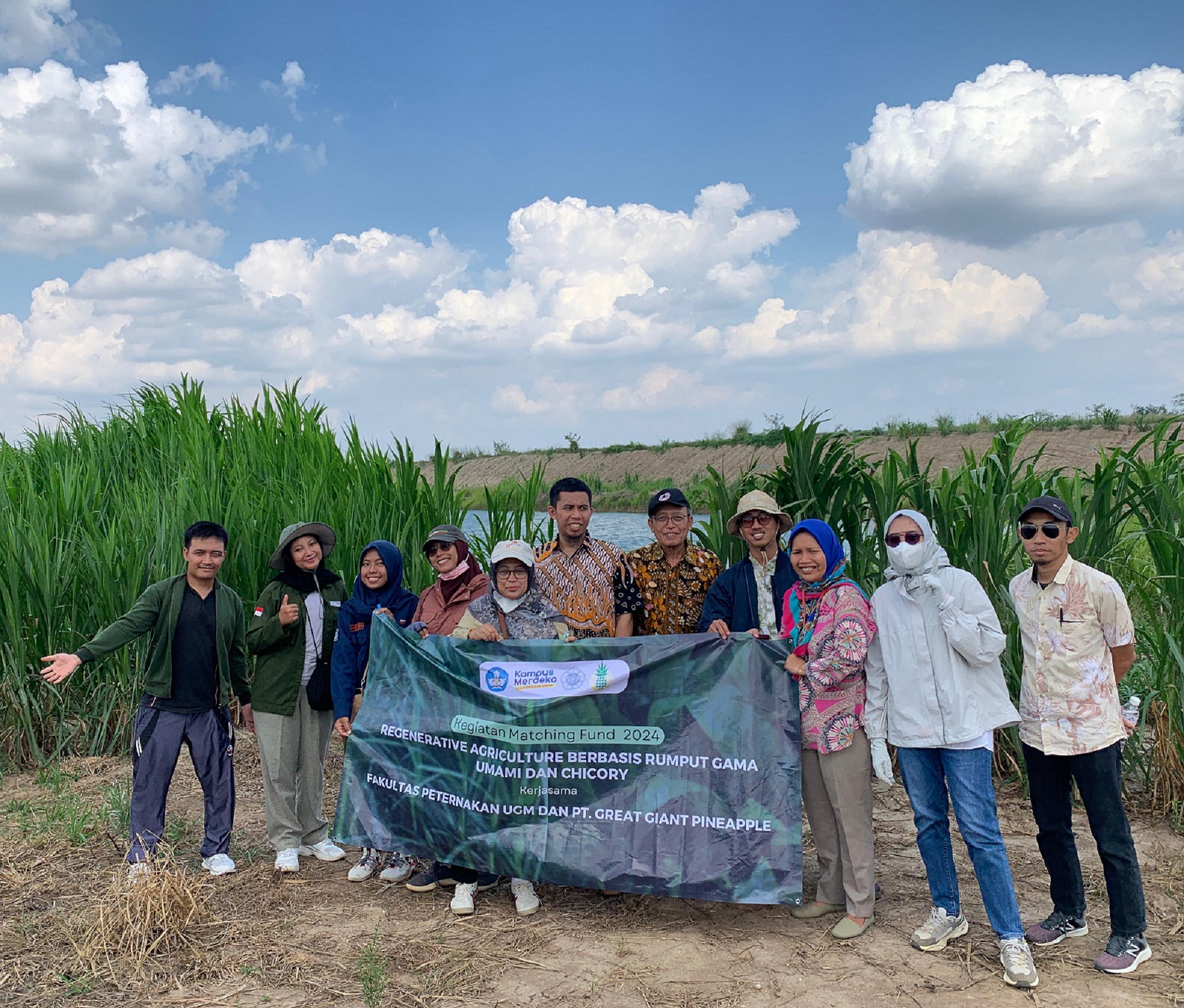 Gama Umami dan Chicory Cegah Erosi dan Sedimentasi Lahan PT. Great ...