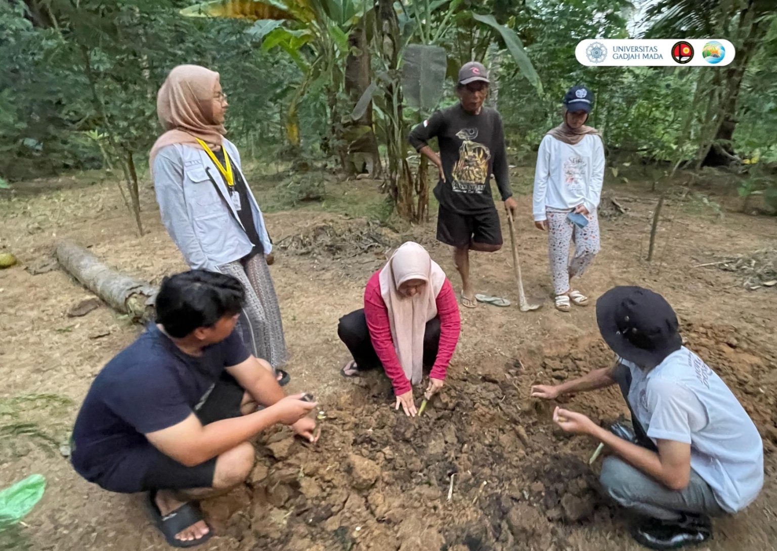 Mahasiswa KKN UGM Tanam Rumput Gama Umami di Pacitan – Fakultas ...